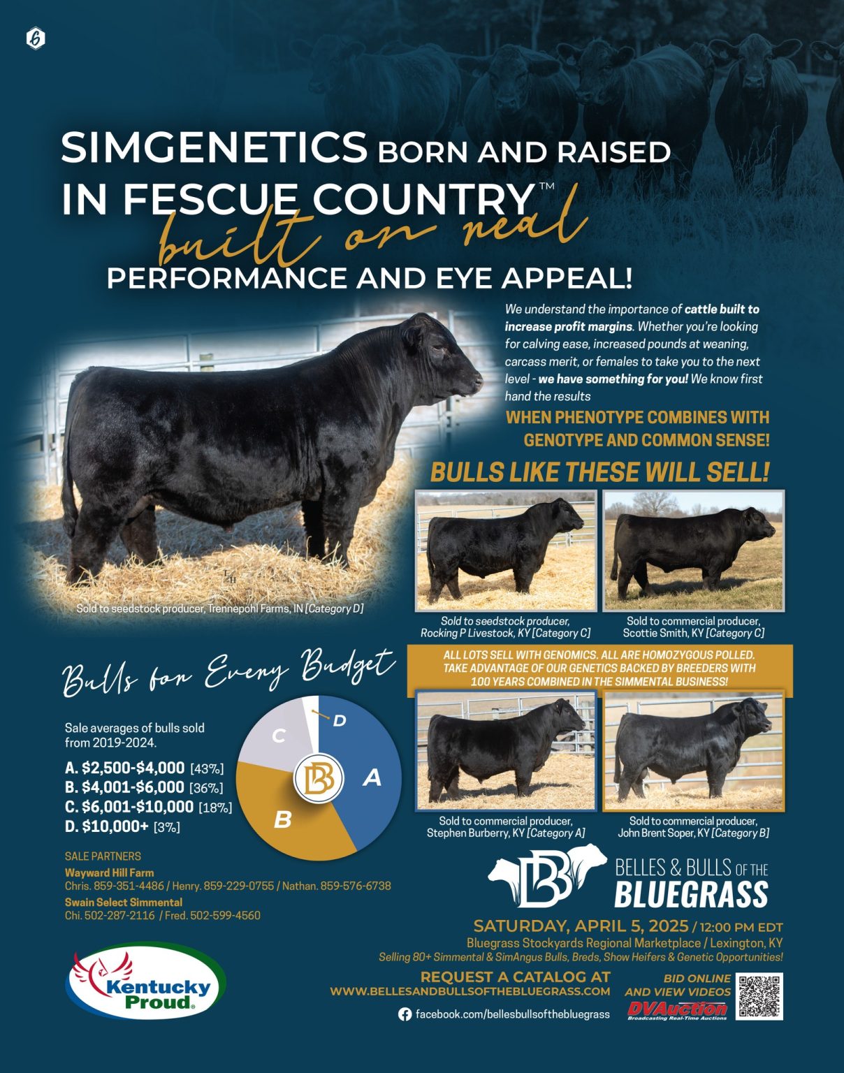 Belles/Bulls of the Blue Grass Simmental Sale – Bluegrass Stockyards