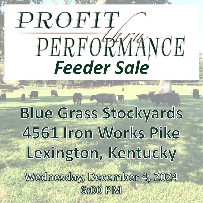 Bluegrass Stockyards