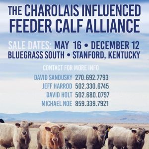 Bluegrass Stockyards