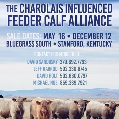 Bluegrass Stockyards