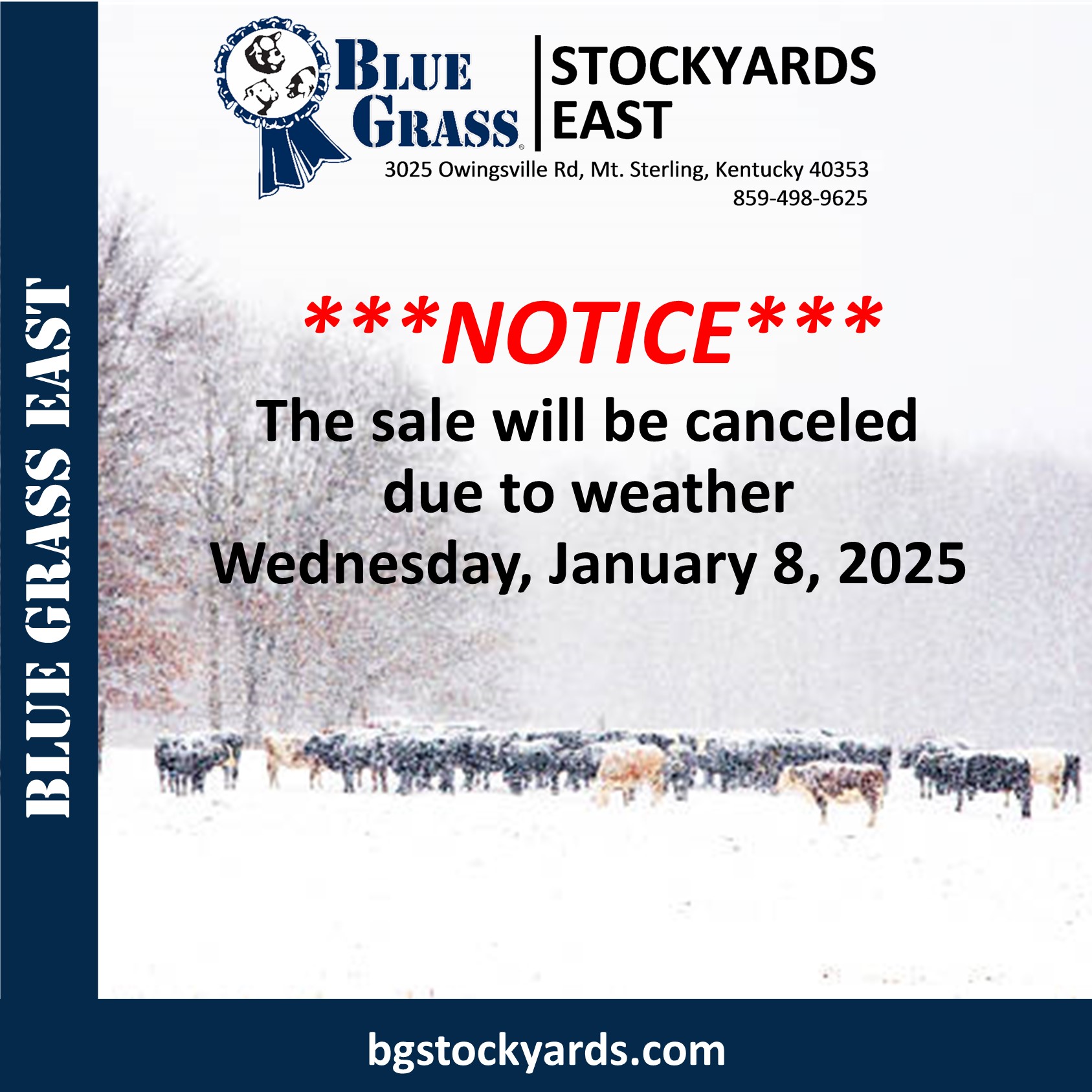 Bluegrass Stockyards