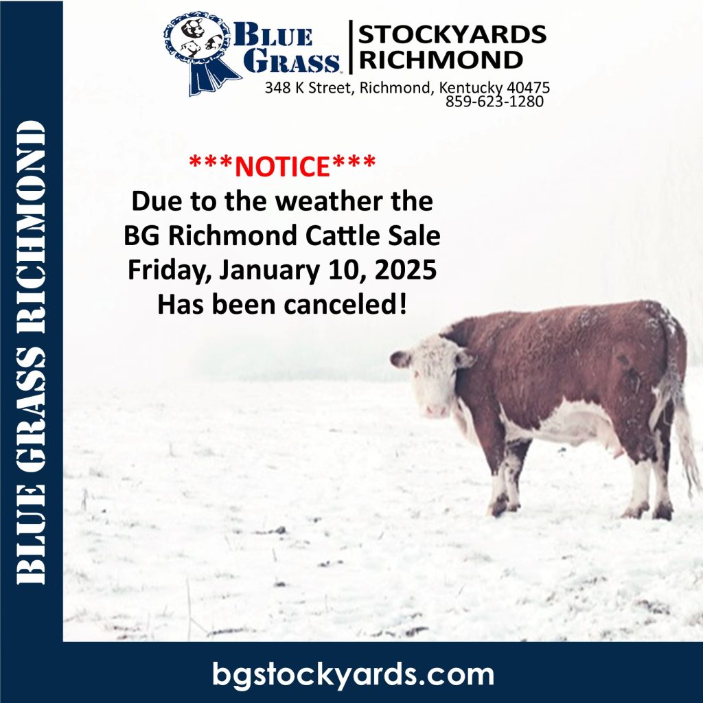 Bluegrass Stockyards