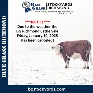 Bluegrass Stockyards