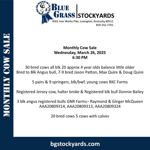 Lexington – Bluegrass Stockyards