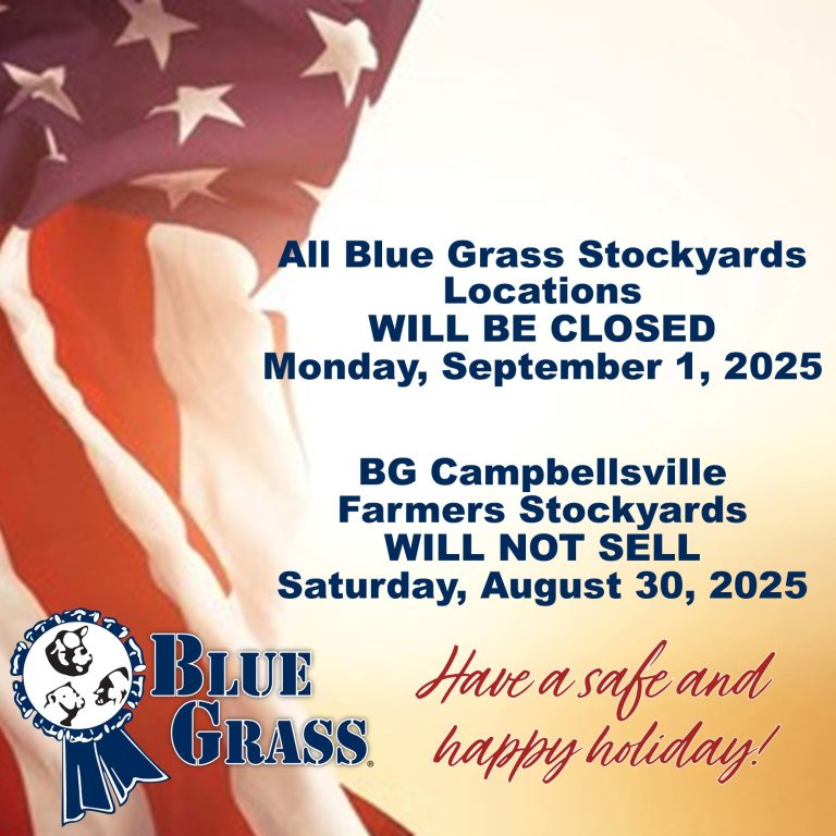 Lexington – Bluegrass Stockyards